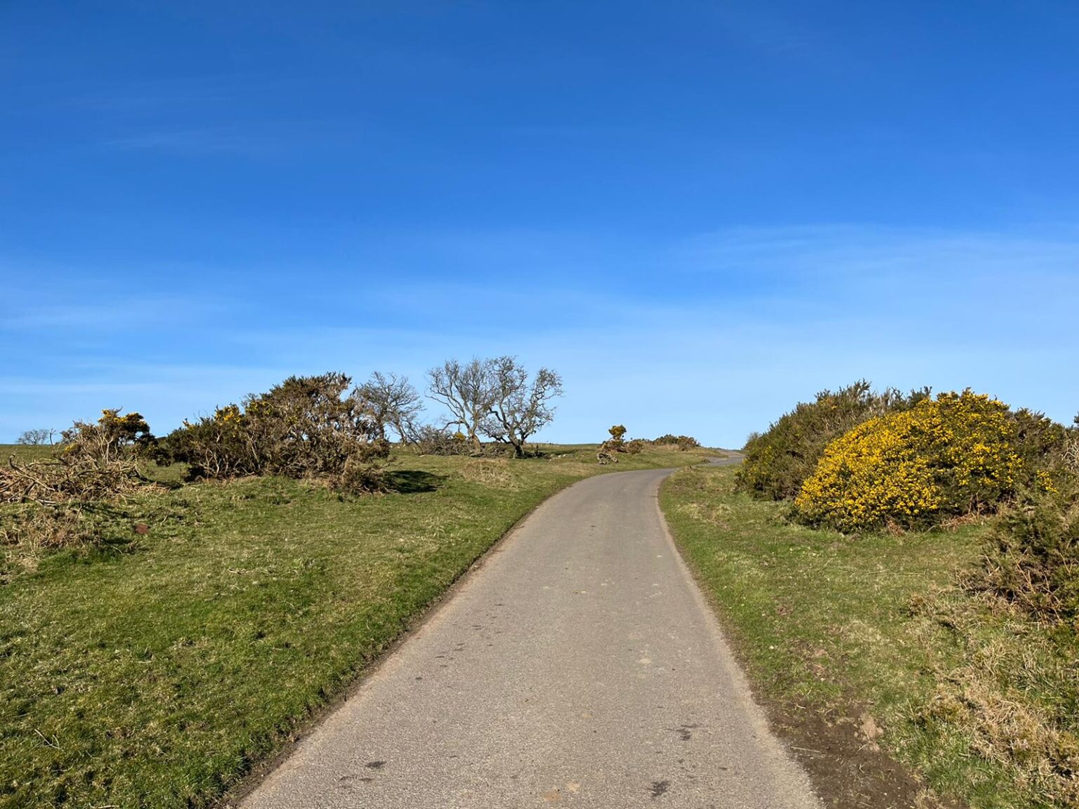 Key Dates: Basic Payment Scheme (BPS), Countryside Stewardship (CS) and ...